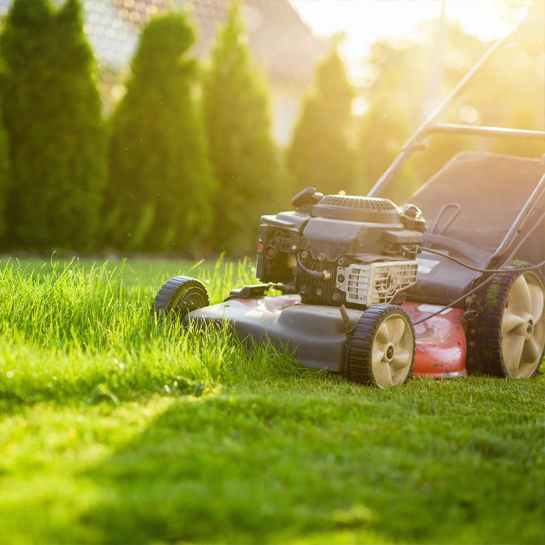Landscaping Services | Gallery | Green Tech Designs
