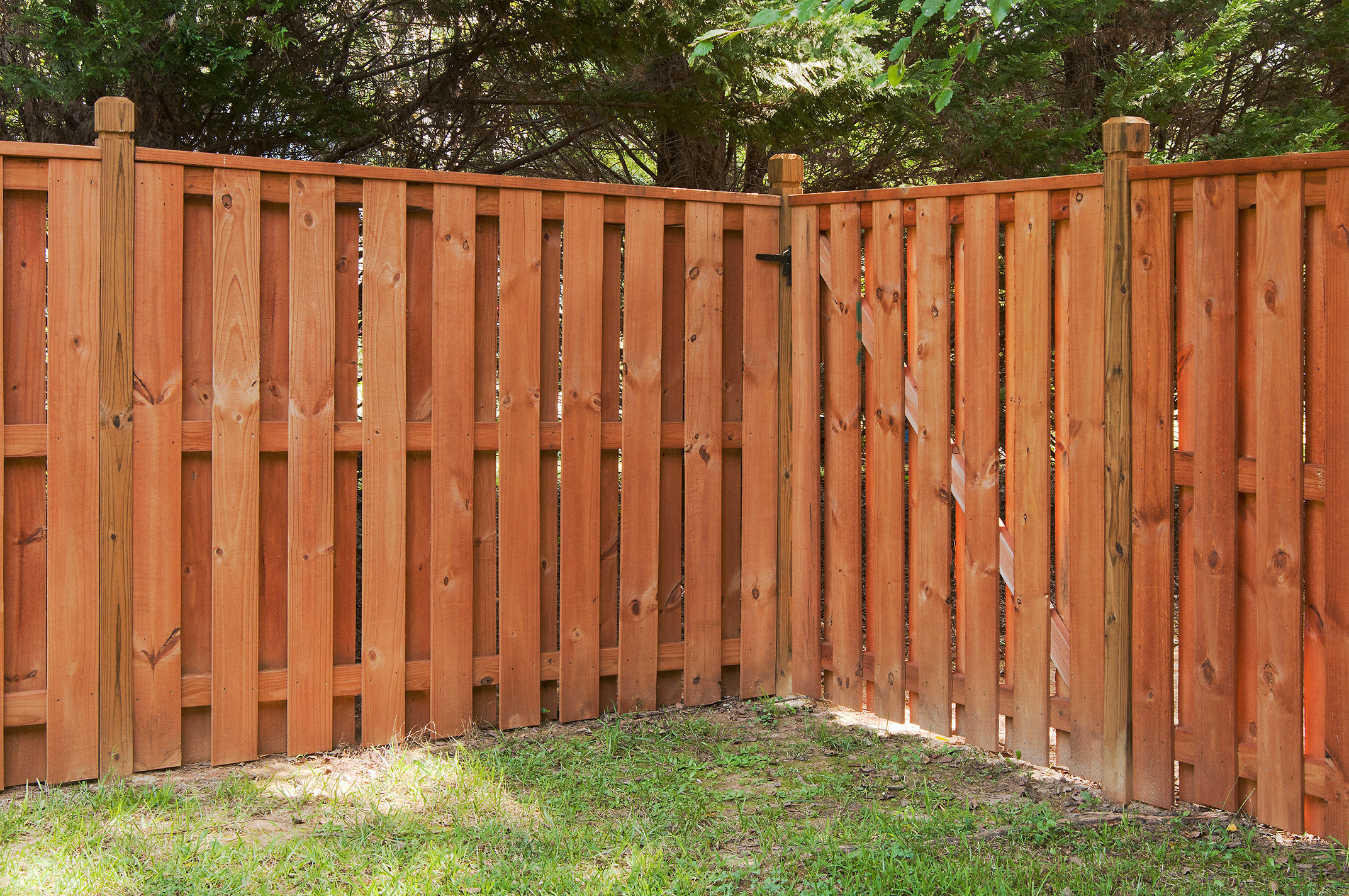 Privacy Fence | GreenTech Designs | Texas